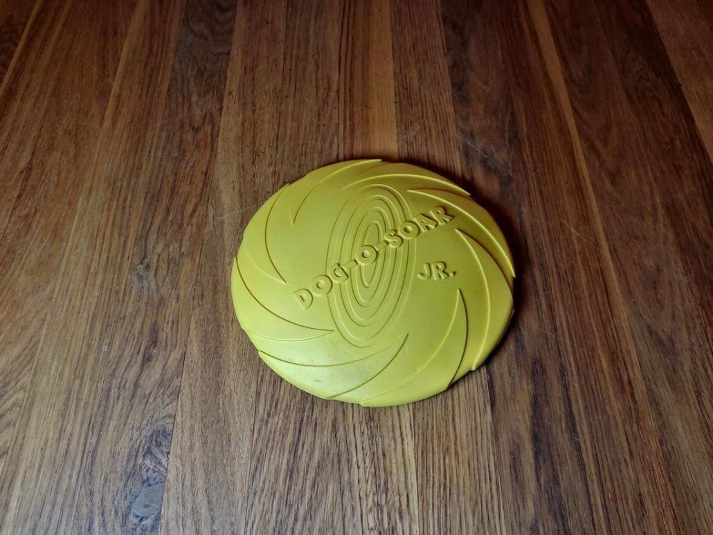 9 best frisbees for dogs compared ᐅ Dog frisbee test